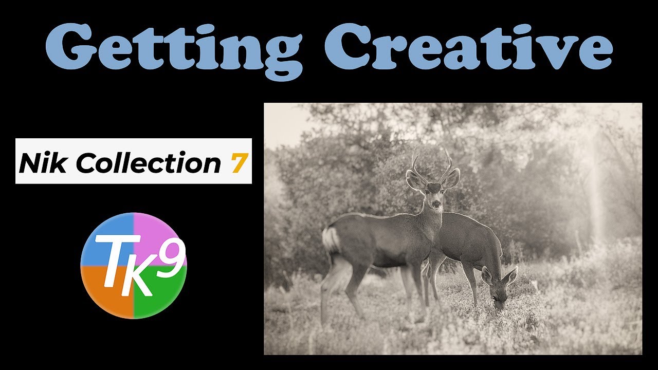 Mastering Creativity with NIK Collection 7 & the TK9 Plugin for Photoshop