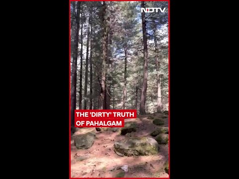 Pahalgam News | The 'Dirty' Truth Of Pahalgam: Inside One Of The 'Most Pristine' Areas Of Pahalgam