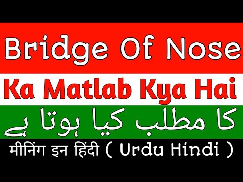 Bridge Of The Nose Meaning | Bridge Of The Nose Meaning In Urdu Hindi | Bridge Of The Nose Ka Matlab