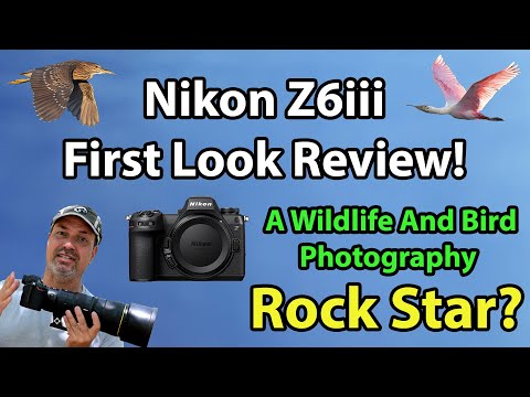 Nikon Z6 III: Wildlife & bird photography