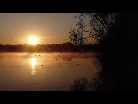 MORNING HEART OPENING MEDITATION PRACTICE