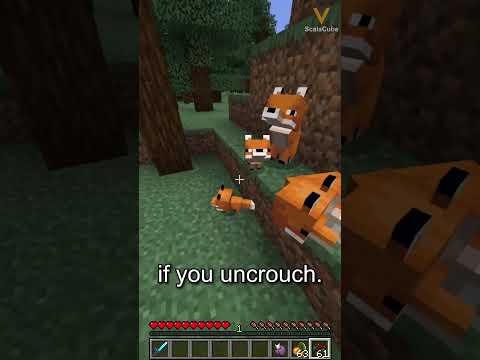 How to Tame a Fox in Minecraft! - Scalacube