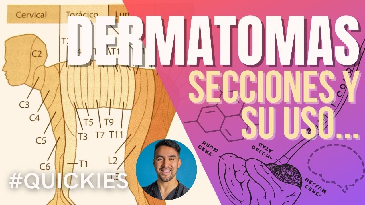 Dermatomas: Análisis desde la Neurociencia