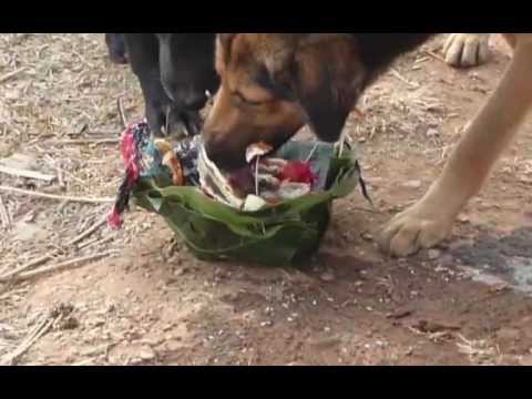Tamang ritual house protection shaman song | ETHNOFLORENCE INDIAN AND ...