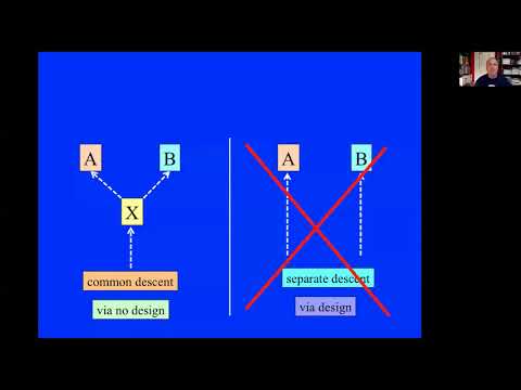 Common Descent and Origins | Leadingchurch.com