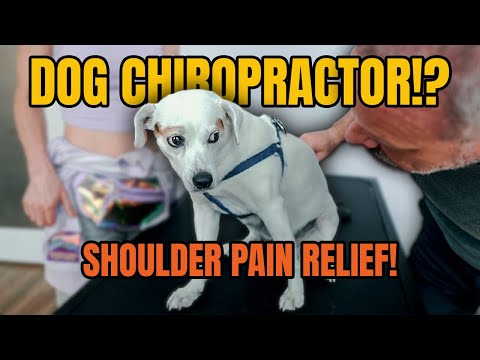 Her Energy Was Gone… Until This Shoulder Adjustment!