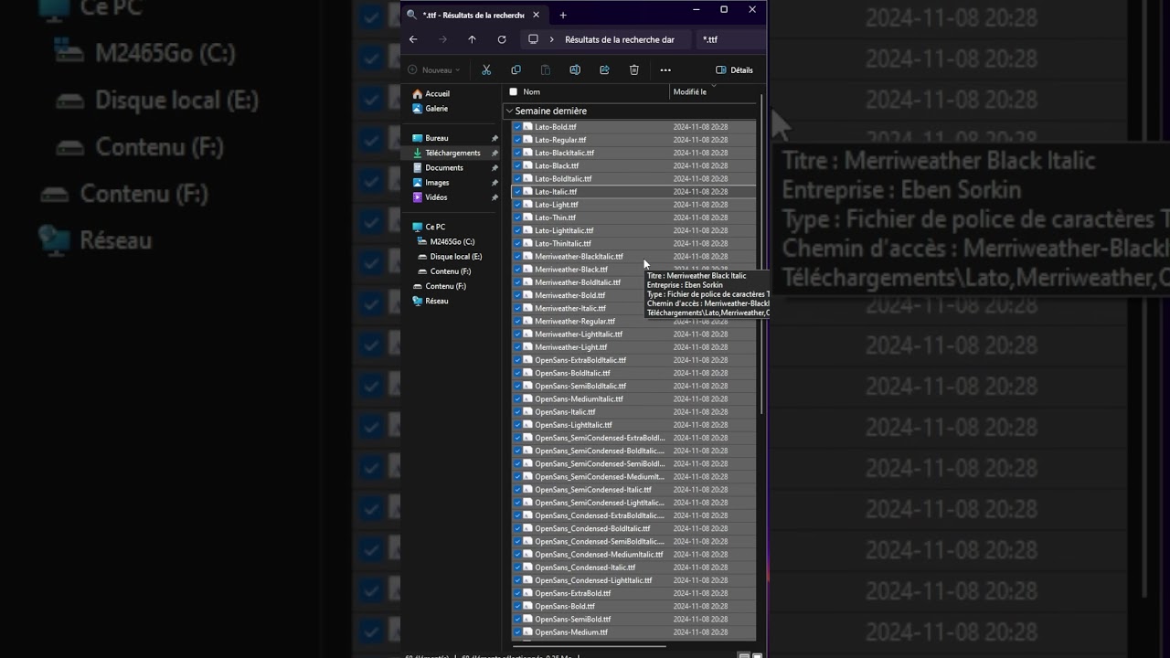 Quick Guide 💻 Installing Multiple Fonts in One Go 🧙‍♂️🔥
