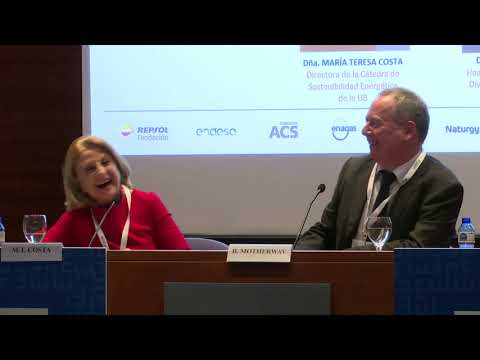 Conferencia Inaugural: EFICIENCIA ENERGÉTICA. D. Brian Motherway. VIII Simposio Empresarial FUNSEAM