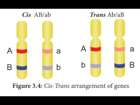 CIS AND TRANS CONFIGURATION OF LINKAGES