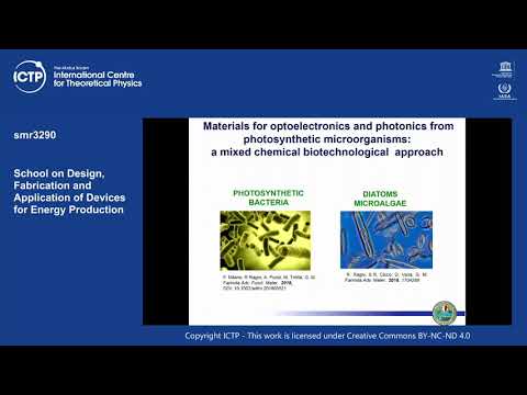 Photonics with photosynthetic microorganisms