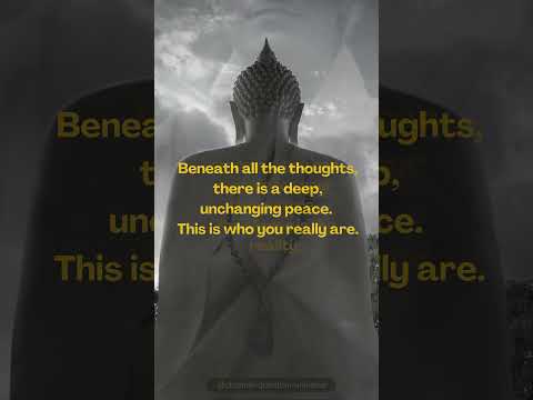 The Mind is an Illusion: Robert Adams' Secret to Inner Peace 🧘‍♂️ #shorts #advaita