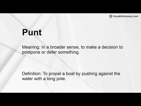 Punt Meaning