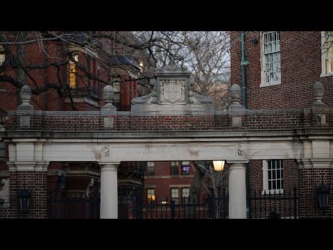 'Disgusting': Harvard slammed over warning it may euthanise lab animals after Trump funding cuts