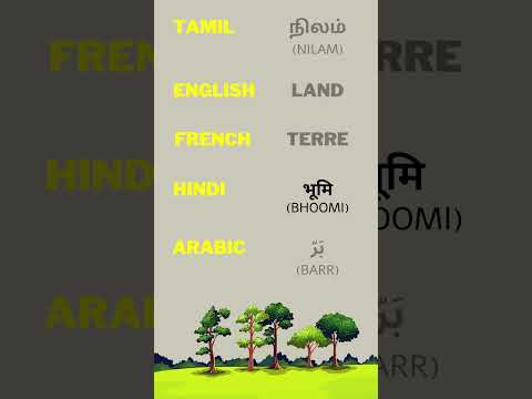 One word in 5 different languages #french #english #tamil #hindi #arabic #shorts #land