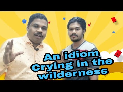 Crying in the wilderness meaning