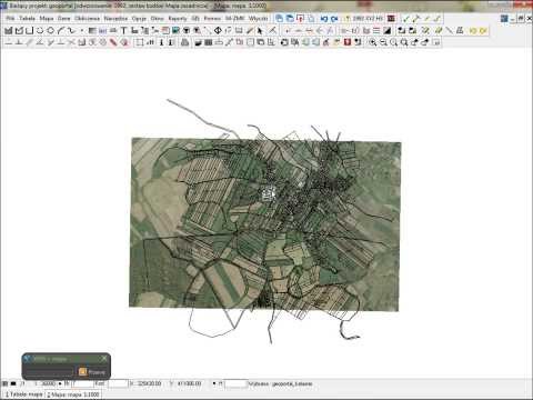 C-GEO z Google Maps i serwisami WMS