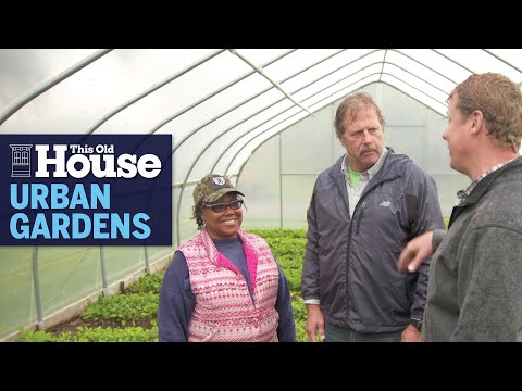 How to Garden in an Urban Setting | This Old House