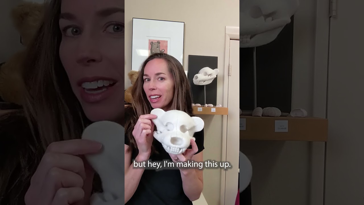 Teddy Bear Skull Origins