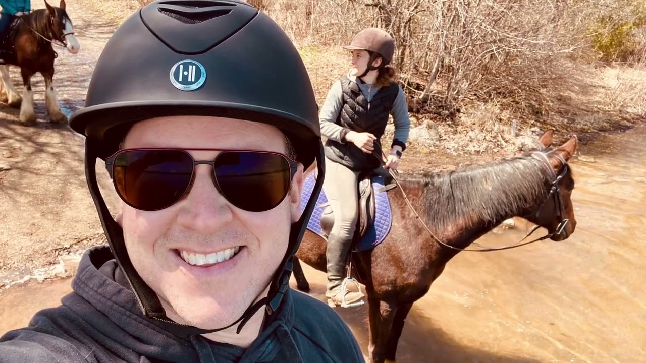 JohnMel Stables