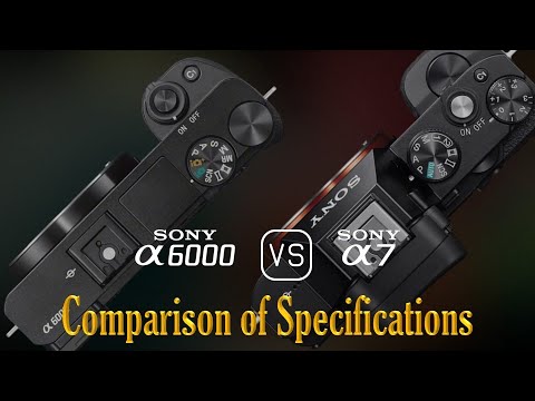 Sony A6000 vs. Sony A7: A Comparison of Specifications