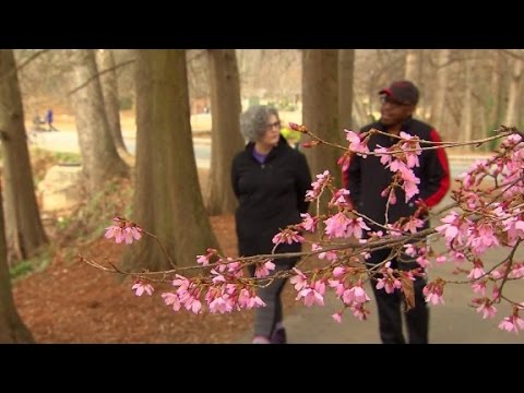 Walking it out with your therapist