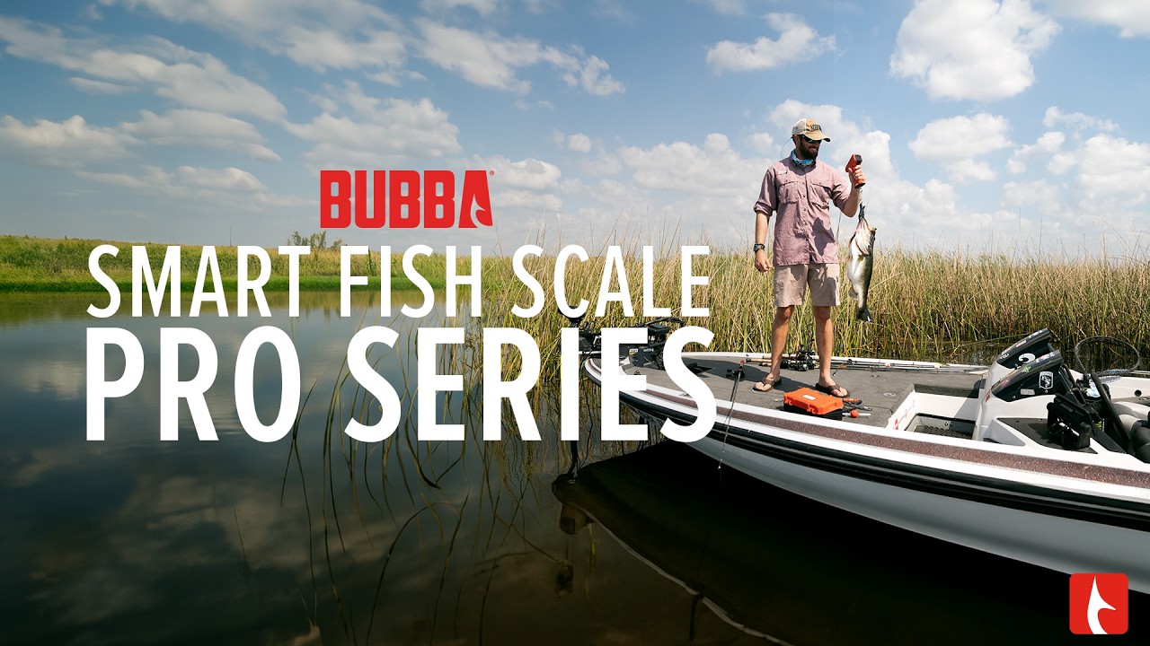 The Bubba PRO Series Smart Fish Scale product walkthrough. #Bubba
