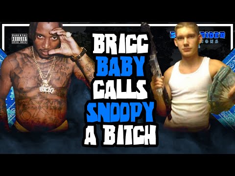 Bricc Baby Calls Snoopy A Buster & A Hood Hopping Nobody