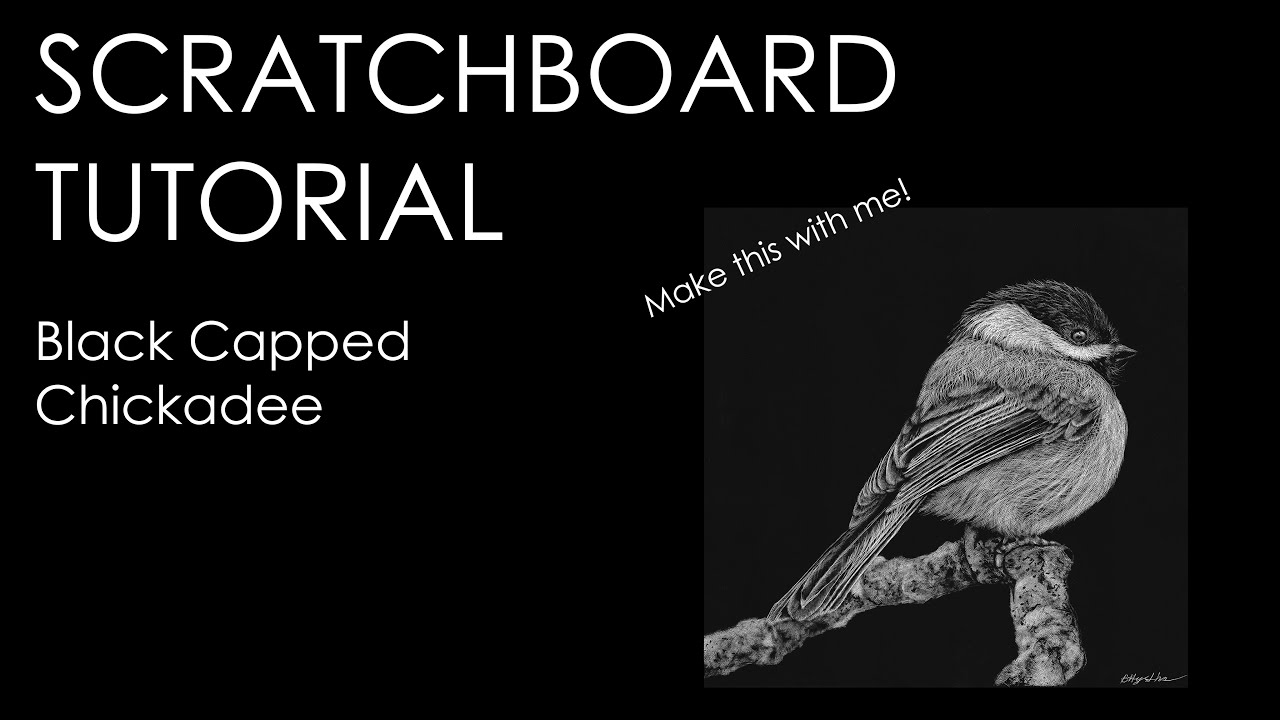 Full Beginner Scratchboard Tutorial with Reference Photo