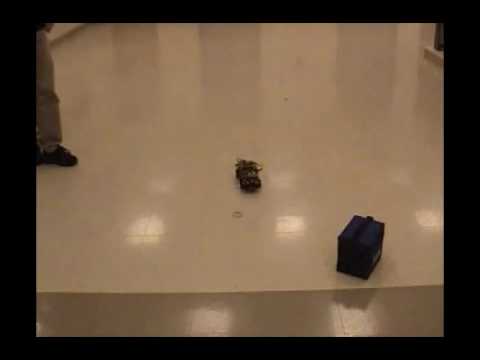 My 4th Year Graduation Project – Autonomous Metal Detector Robot ...