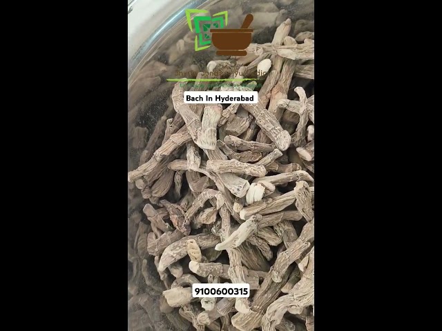 Bach Flower Remedies - Best Tangadi Phool Trader - Wholesaler ...