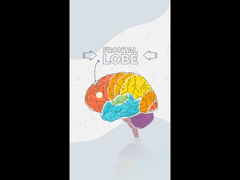 Frontal lobe -By Dr. Arvind Otta. #psychology #frontallobe #brain #brainpsychology #lean #fun