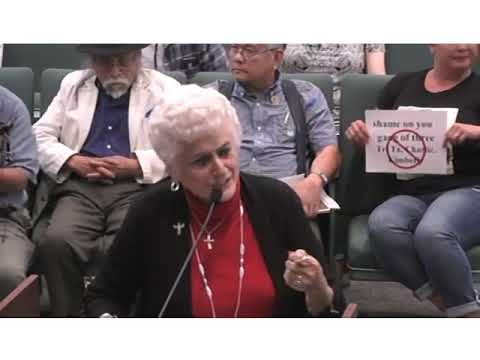 Former Mayor Margie Rice’s speech | Thiên Hạ Sự 2018