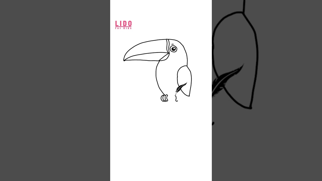 How to Draw a Cute Toucan – Easy Bird Drawing for Kids & Beginners #lidoartworks