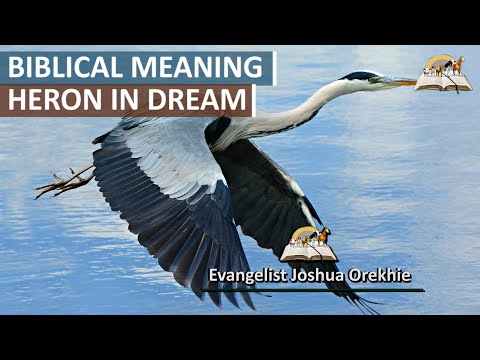 Biblical Meaning of HERON in Dreams - Heron Birds Symbolism and Interpretation
