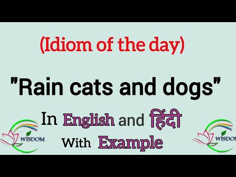 Rain cats and dogs idiom meaning | Rain cats and dogs meaning in hindi