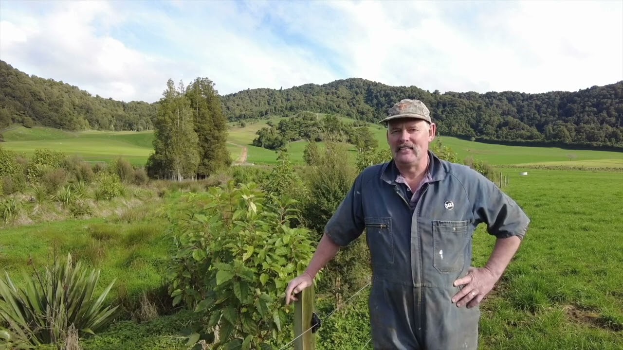 Case Study 1 - Rimu Heights Riparian Planting