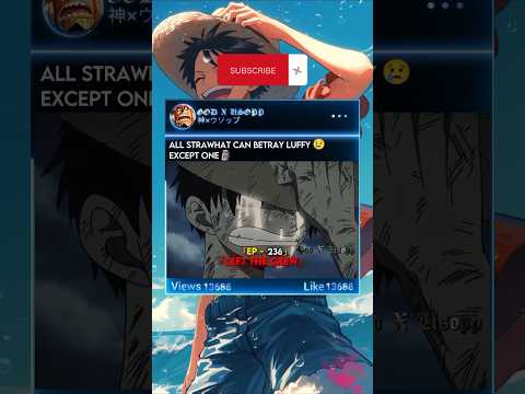 The one person who never betrayed Luffy ???? #zoro #onepiece #shorts