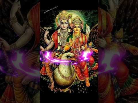 Vishnu | Lakshmi| song status #vishnu #lakshami #shorts #shortsfeed #trending #viral #bhakti #song
