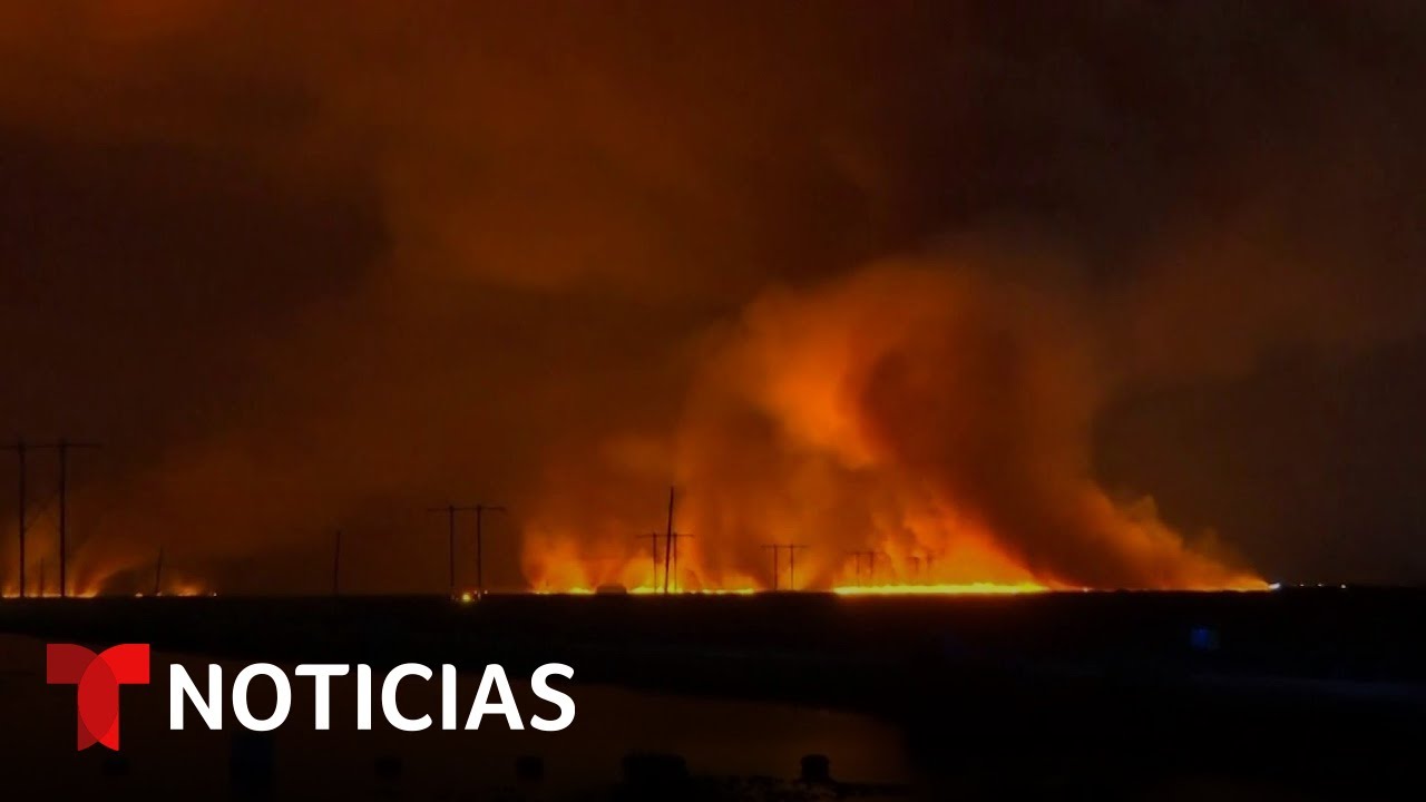 Avanza peligrosamente un incendio forestal en el sur de Florida | Noticias Telemundo