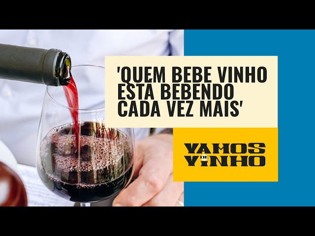 Já pensou em fazer um curso de vinhos? Conheça opções no Vamos de Vinho