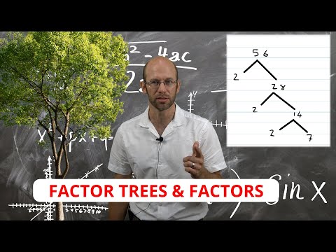 What is a FACTOR TREE? How does FACTORS work? Grade 8 - Mathematics