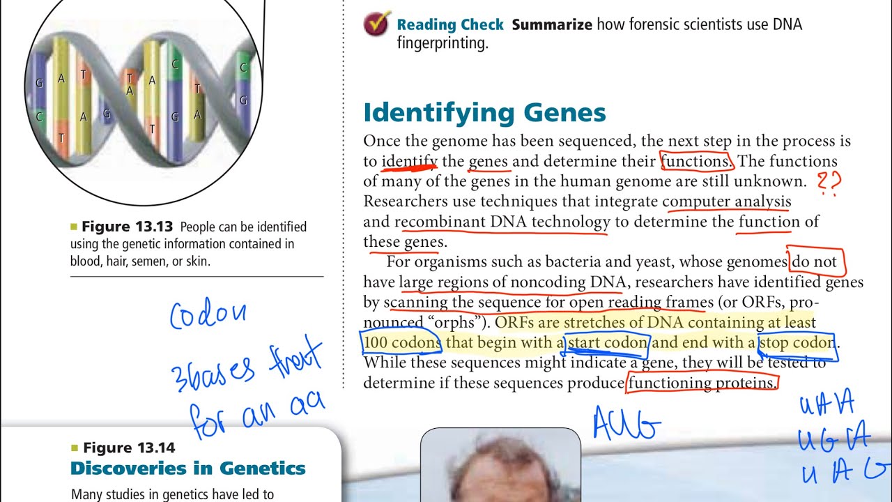Identifying Genes and Bioinformatics