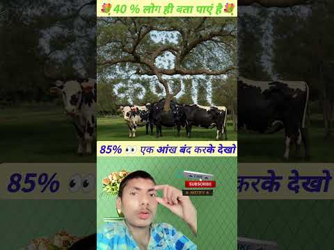 Mbaclose your eyes 85% Jay Shree Radhe Krishna #god#jaishreeram #guess #closeyoureyes #vidiqytgrowth
