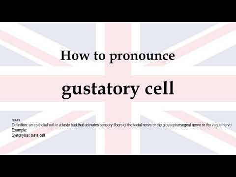 How to pronounce 'gustatory cell' + meaning