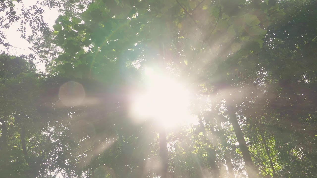 Contemporary Art Paintings Jerusalem | Nachlaot Art Gallery | NFT Art ...