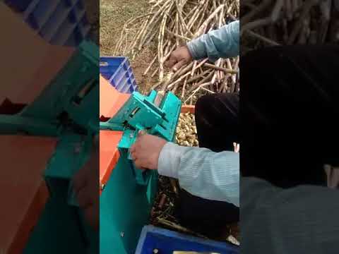 Sugarcane Cutting Machine - Sugarcane Cutter Latest Price ...