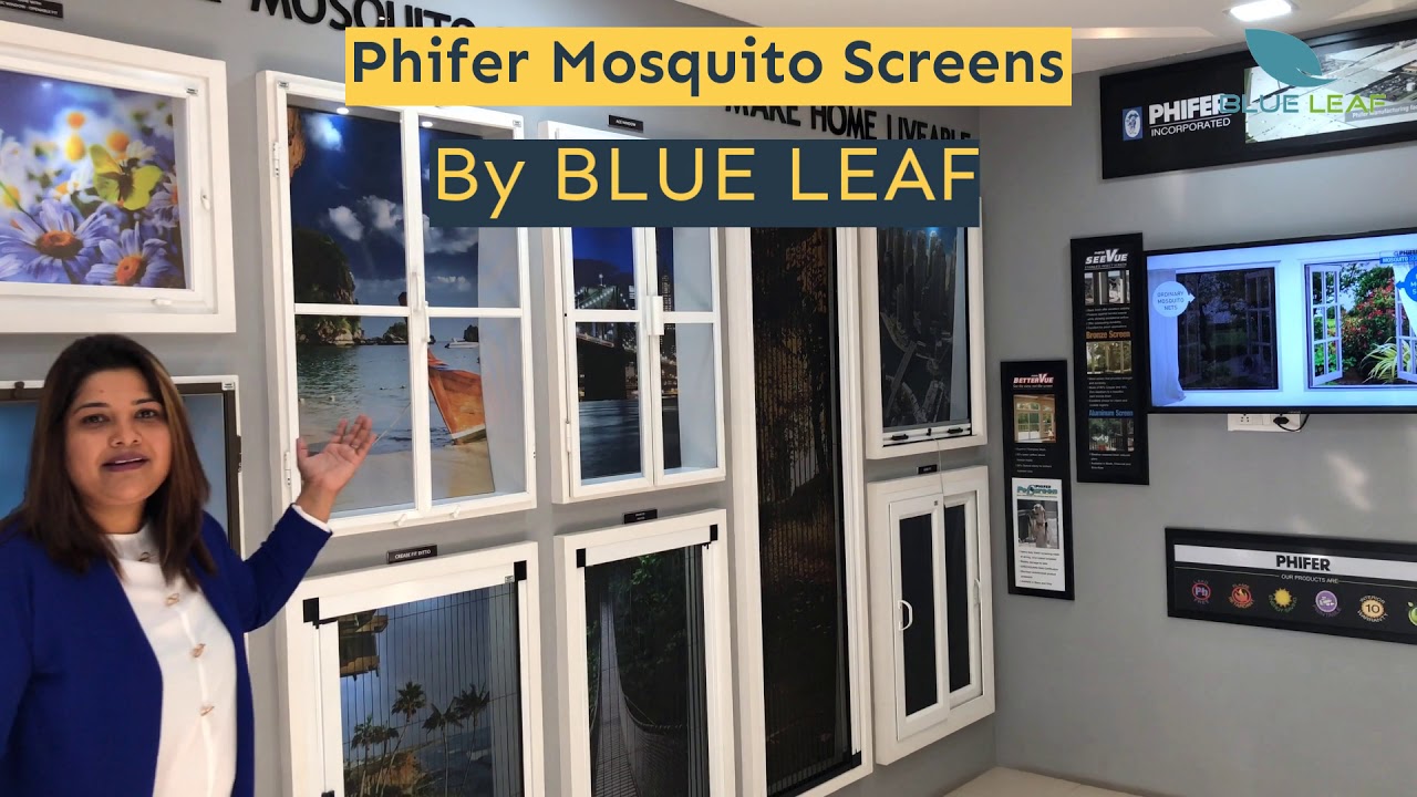 Blue Leaf Interiors