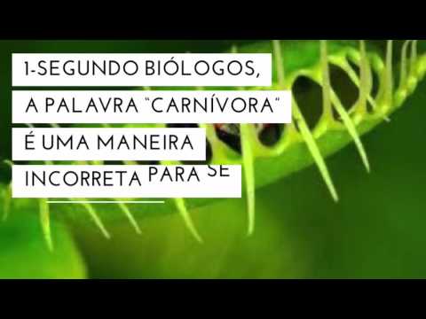 Curiosidades de plantas carnívoras