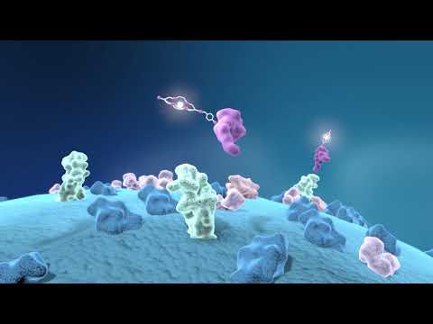 SAR Technology Platform