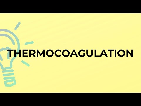 What is the meaning of the word THERMOCOAGULATION?